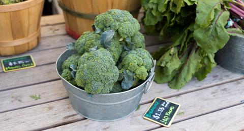 UT Farm Stand Market | University Housing and Dining