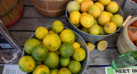 UT Farm Stand Market | University Housing and Dining