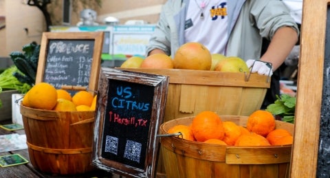 UT Farm Stand Market | University Housing and Dining