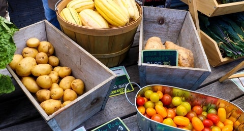 UT Farm Stand Market | University Housing and Dining