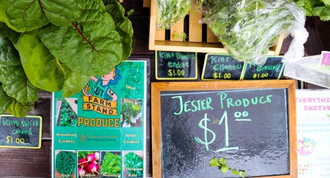 UT Farm Stand Market | University Housing and Dining