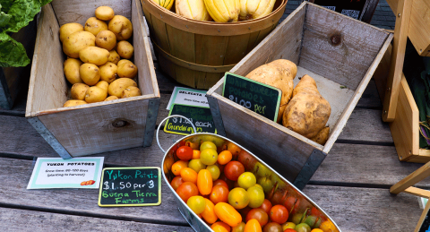 UT Farm Stand Market | University Housing and Dining
